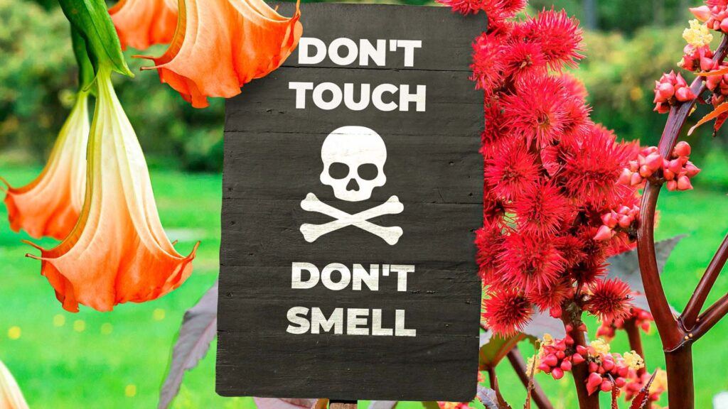 How to Survive The World’s Deadliest Garden