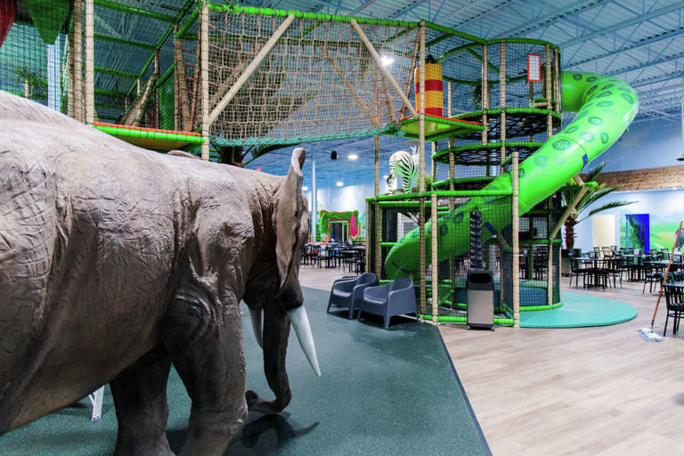 Lava Island launches its first CT indoor 'play oasis' in Manchester on ...