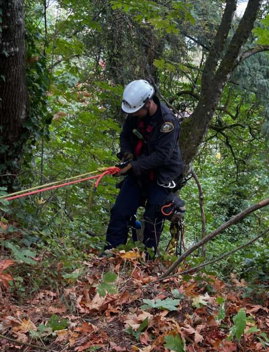 Oregon City dog rescued after squirrel chase goes awry