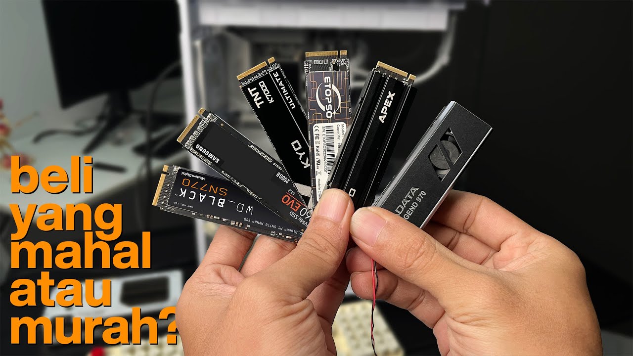 Perlukah Membeli SSD Mahal? Panduan Cerdas untuk Pilihan Storage Anda