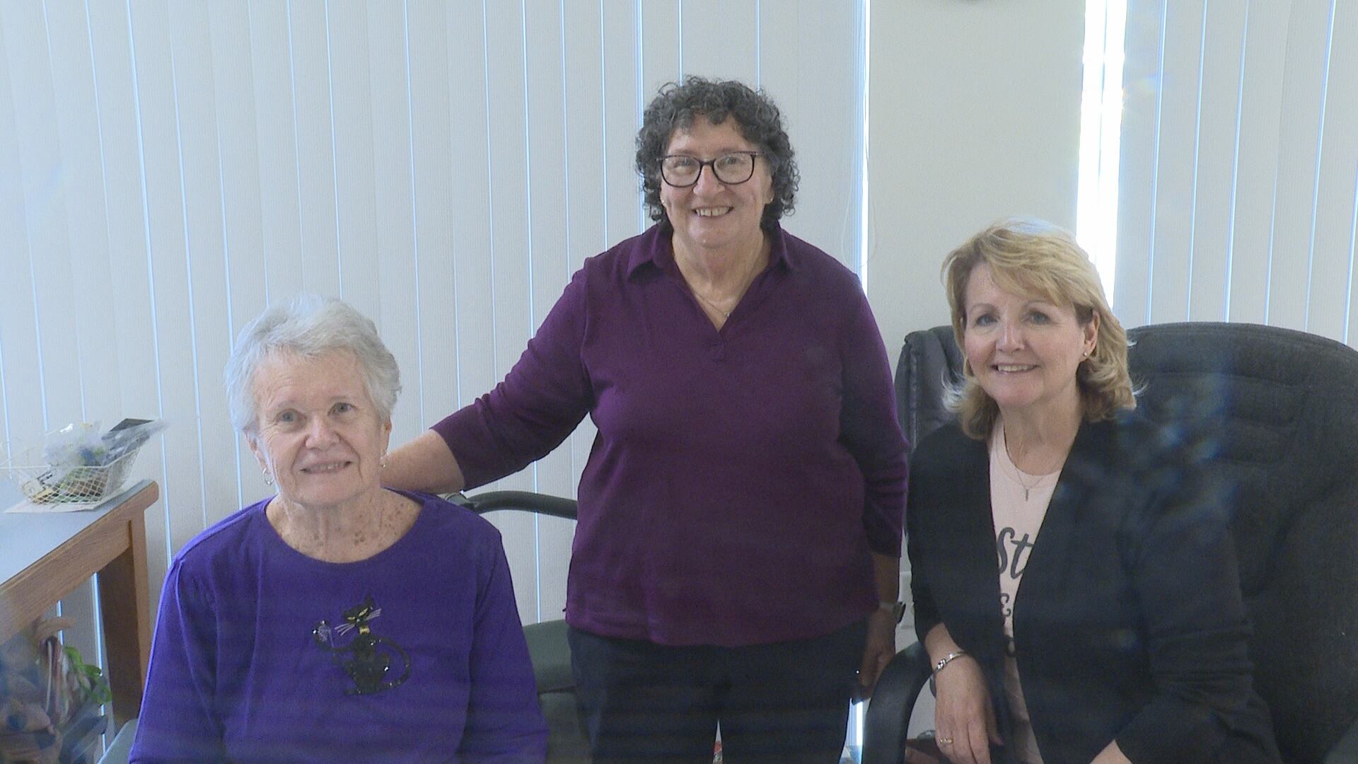Friends of the Barlow Library hold used book sale