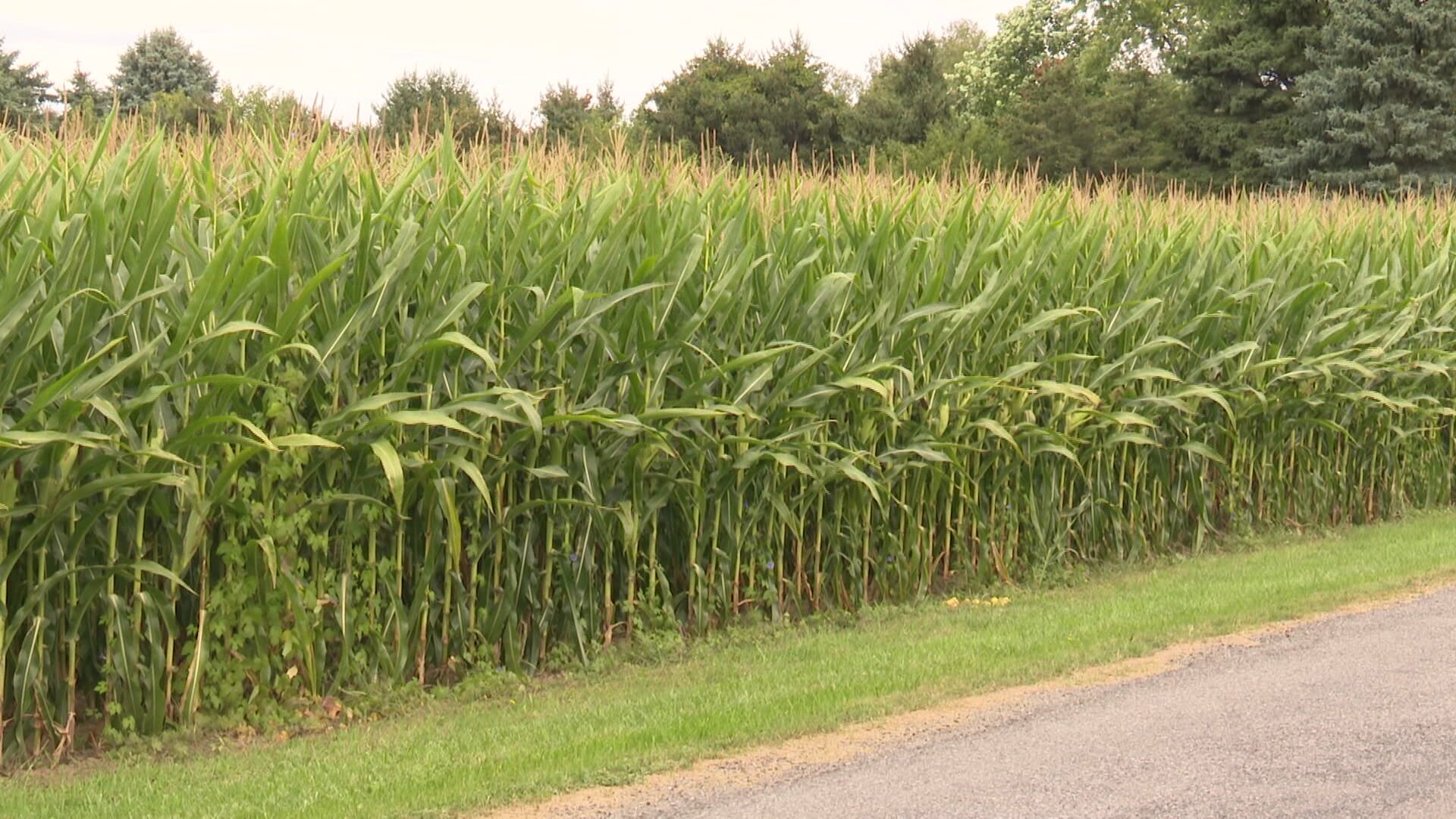 Changes to H-2A visa program expected to help Michiana farms combat ...