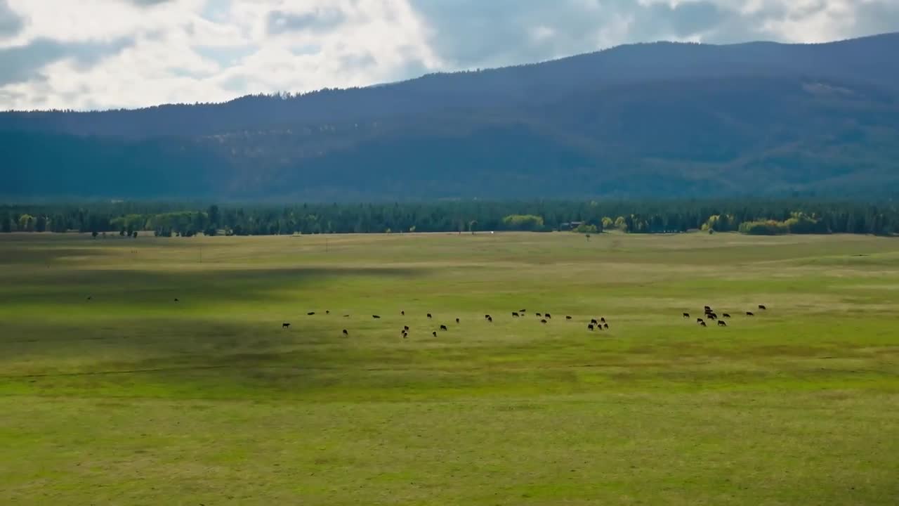 Drone Tour Of Yellowstone’s Magical Landscapes And Wildlife...