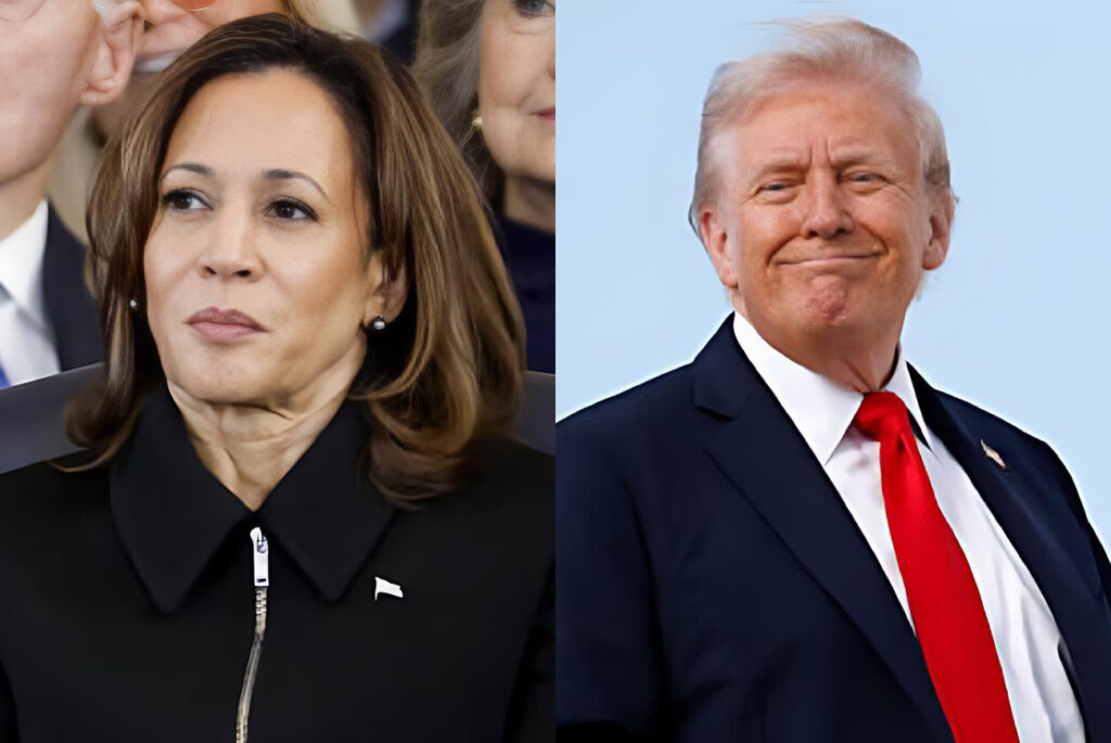 Kamala Harris Reacts To Donald Trump Announcing His Meeting With ...