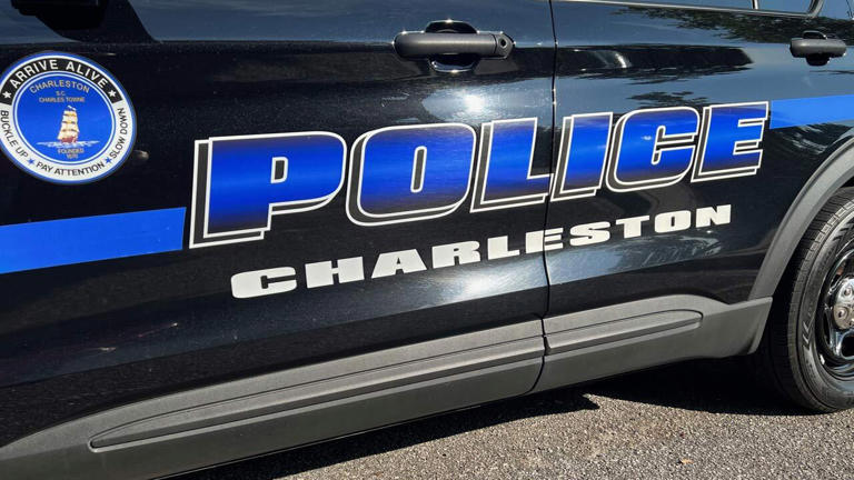 Charleston police charge 19-year-old with vandalizing golf course