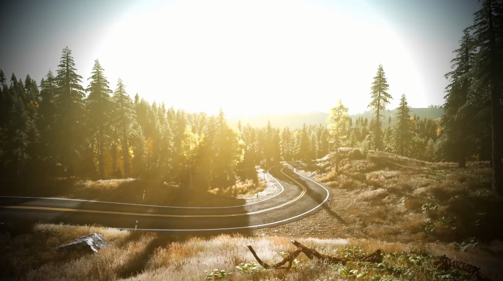 Driver Sees Girl Alone on Wooded Road – Her Frantic Waving Has a ...