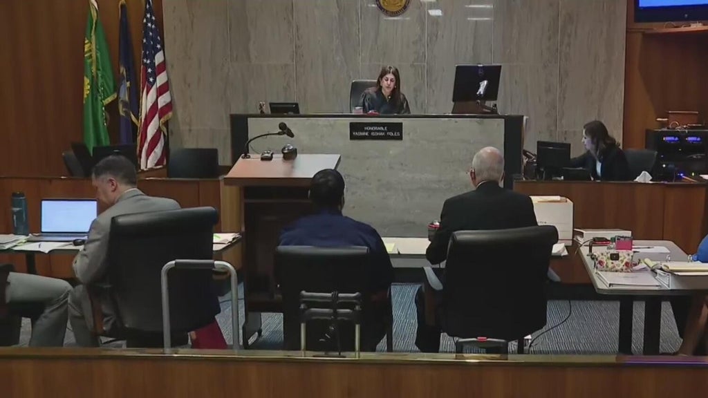 Investigators take the stand, detail suspect's arrest in Rochester ...