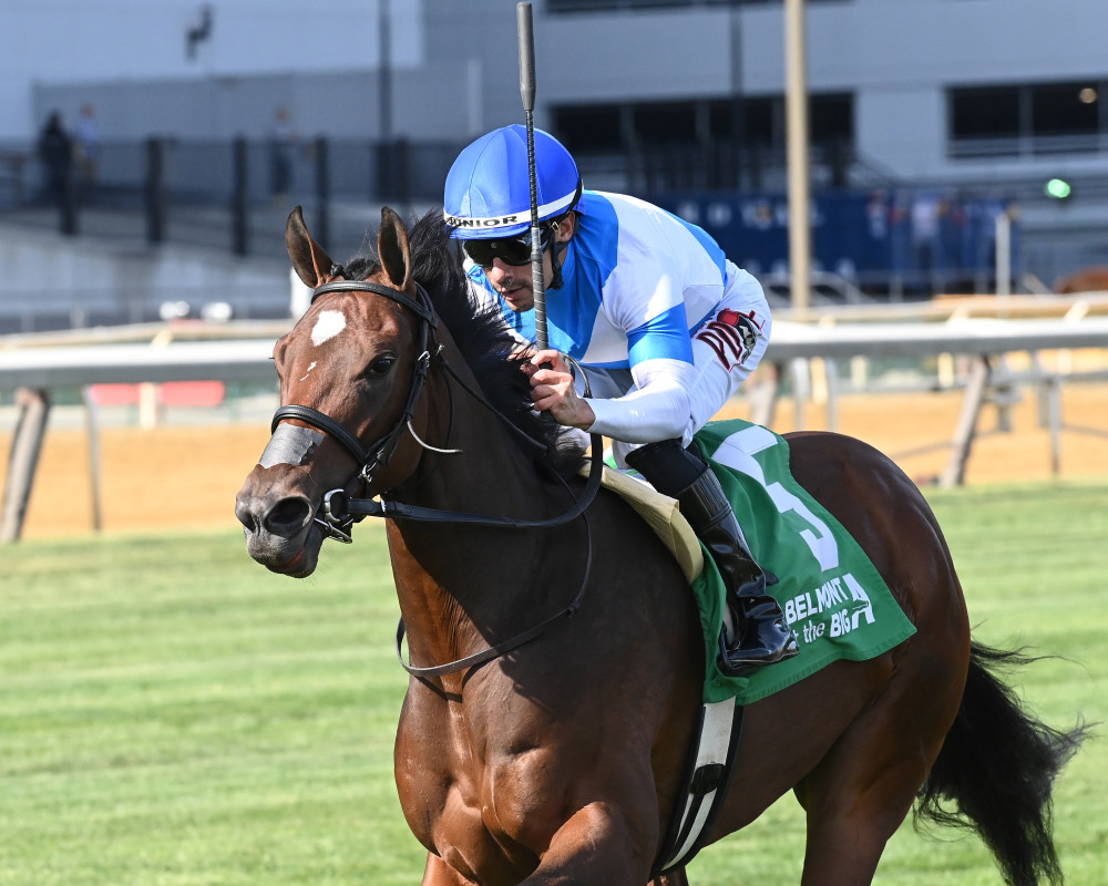 Final Accord Shows 'A Lot Of Upside' In Late-Running Matron Victory