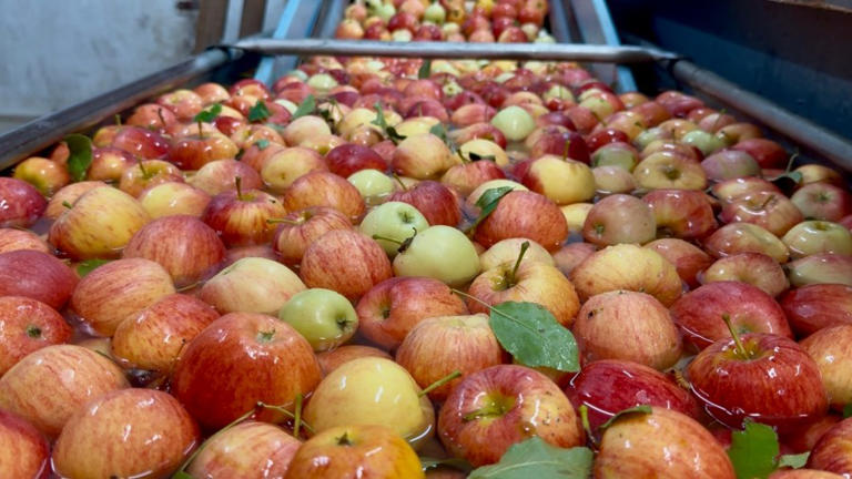 17 common Gen Z stereotypes that just aren’t true