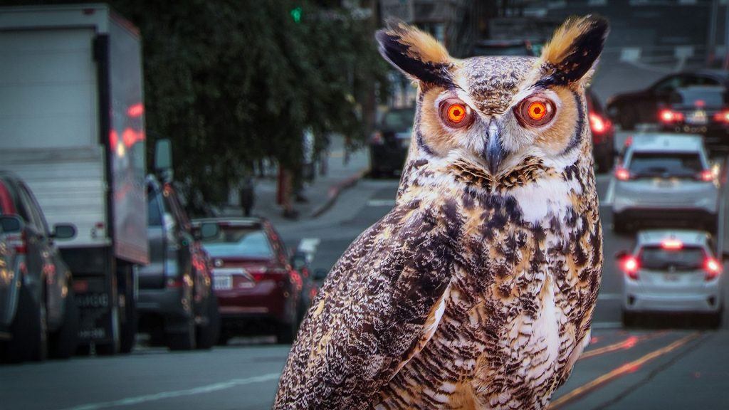 What if birds were actually robots watching us?