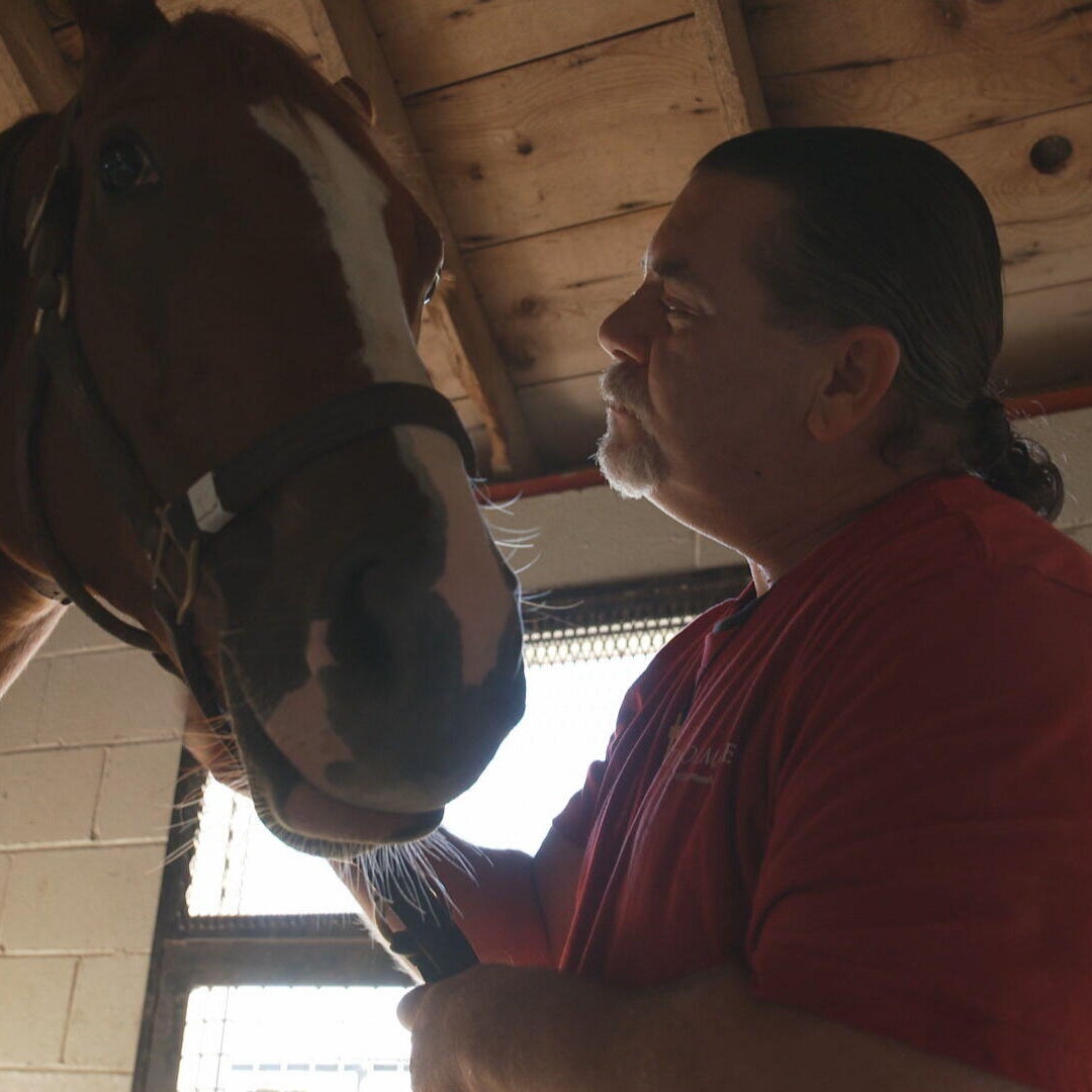 Thoroughbred horses give people in recovery a second chance at life