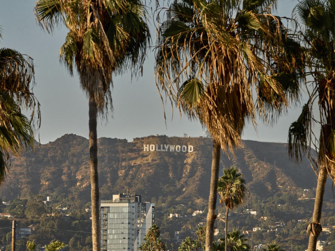 L.A.’s Entertainment Economy Is Looking Like a Disaster Movie