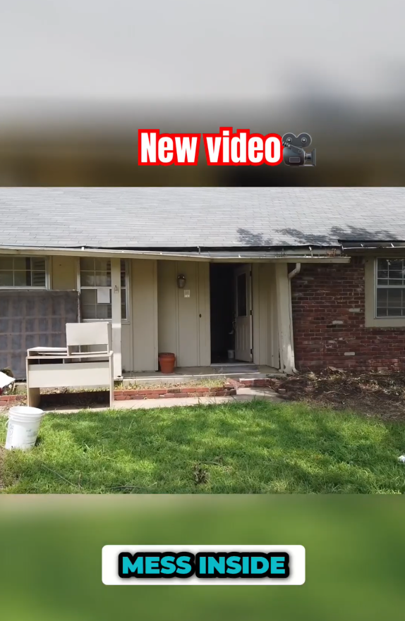 Turning a Disgusting House into Something Beautiful