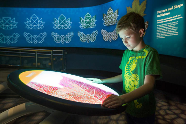 STEAM Center exhibit arrives for installation