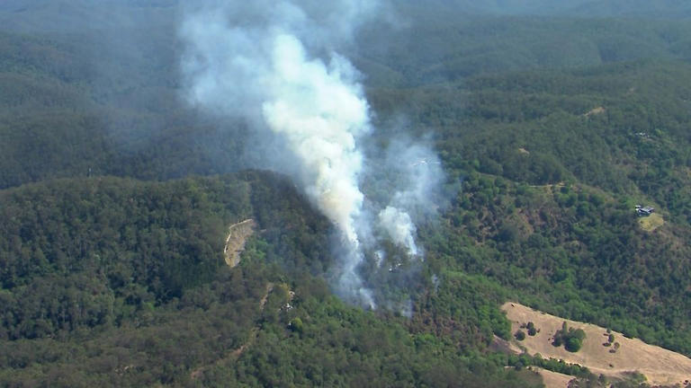 Firefighters tackle Brisbane bushfire, dozens of other incidents after ...