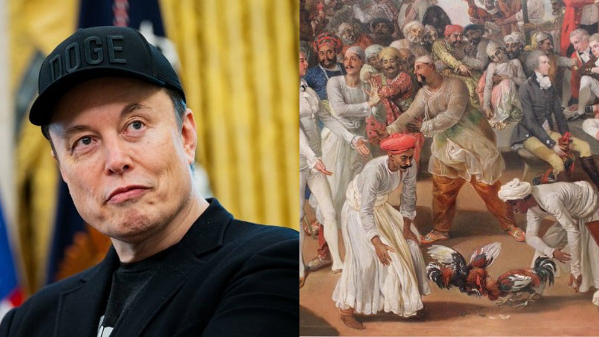 'Kick Tesla & Starlink Out Of India': Elon Musk's Resharing Of 'English ...