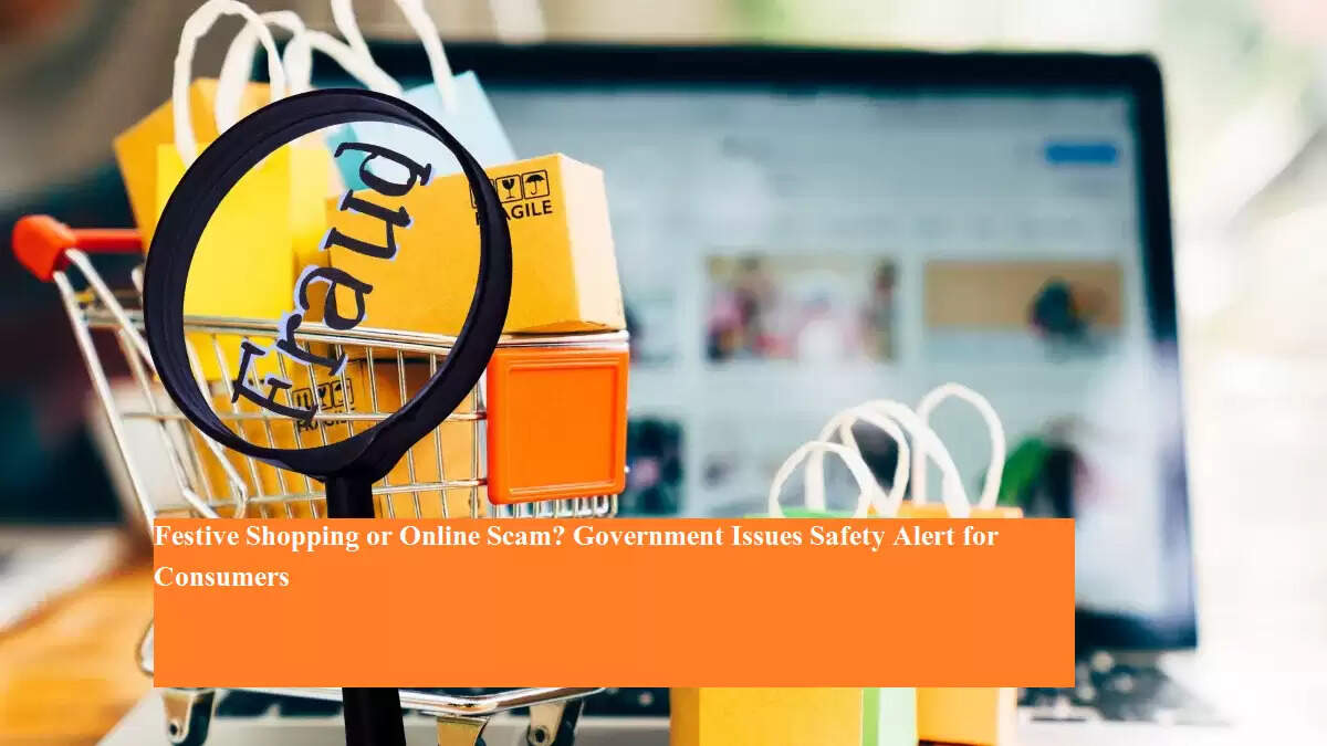 Festive Shopping or Online Scam? Government Issues Safety Alert for ...