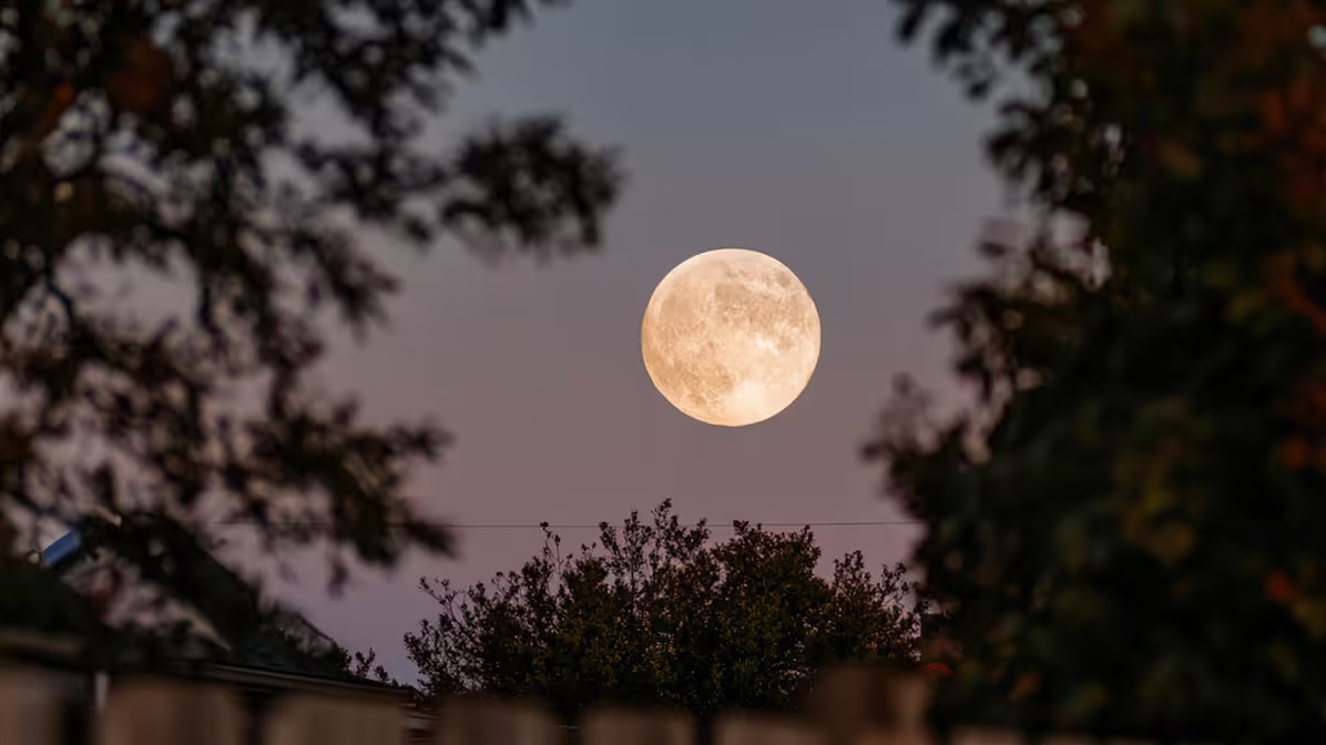 Pleine Lune du 5 novembre 2025 : ces 3 signes astrologiques vont ...