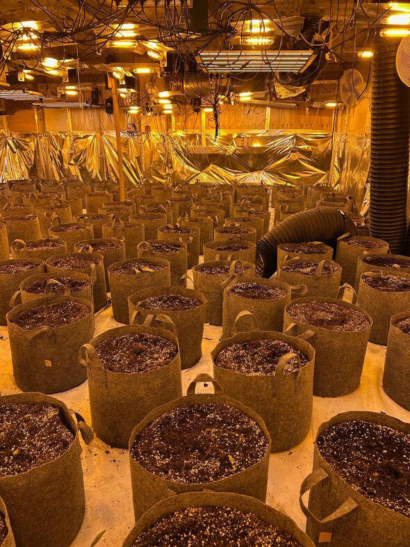 Huge cannabis farm discovered near King Charles's home