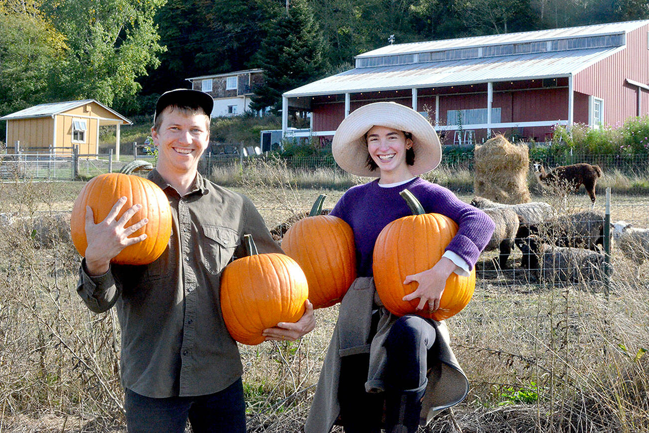 One-day pumpkin patch set Sunday