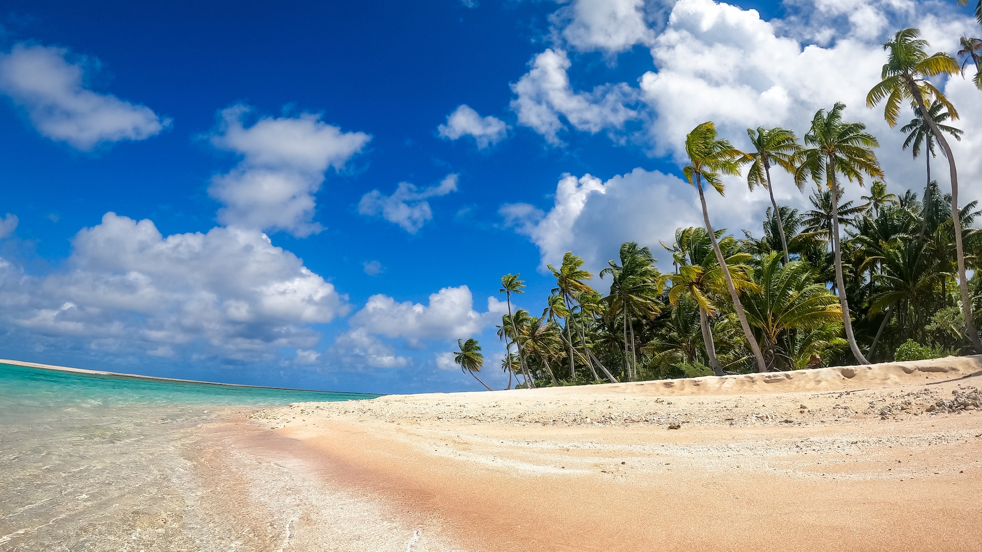 Cette plage de sable rose méconnue sur une île secrète en Polynésie ...