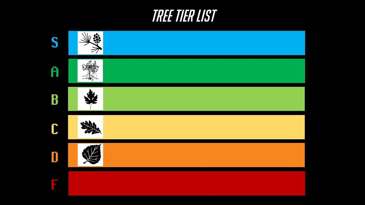 The Ultimate Tree Tier List You Didn’t Know You Needed