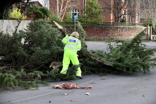 Met Office issues yellow warning as Storm Amy brings strong winds to ...