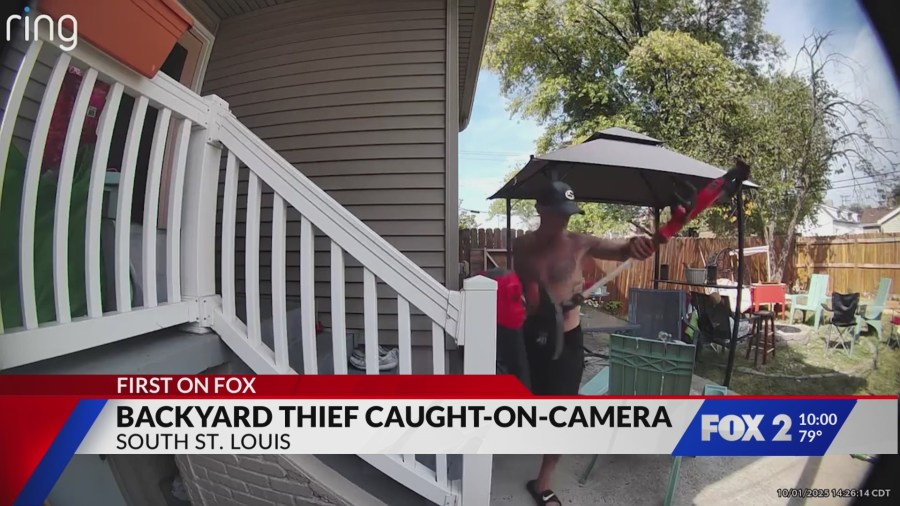 Backyard thief caught-on-camera stealing property in broad daylight