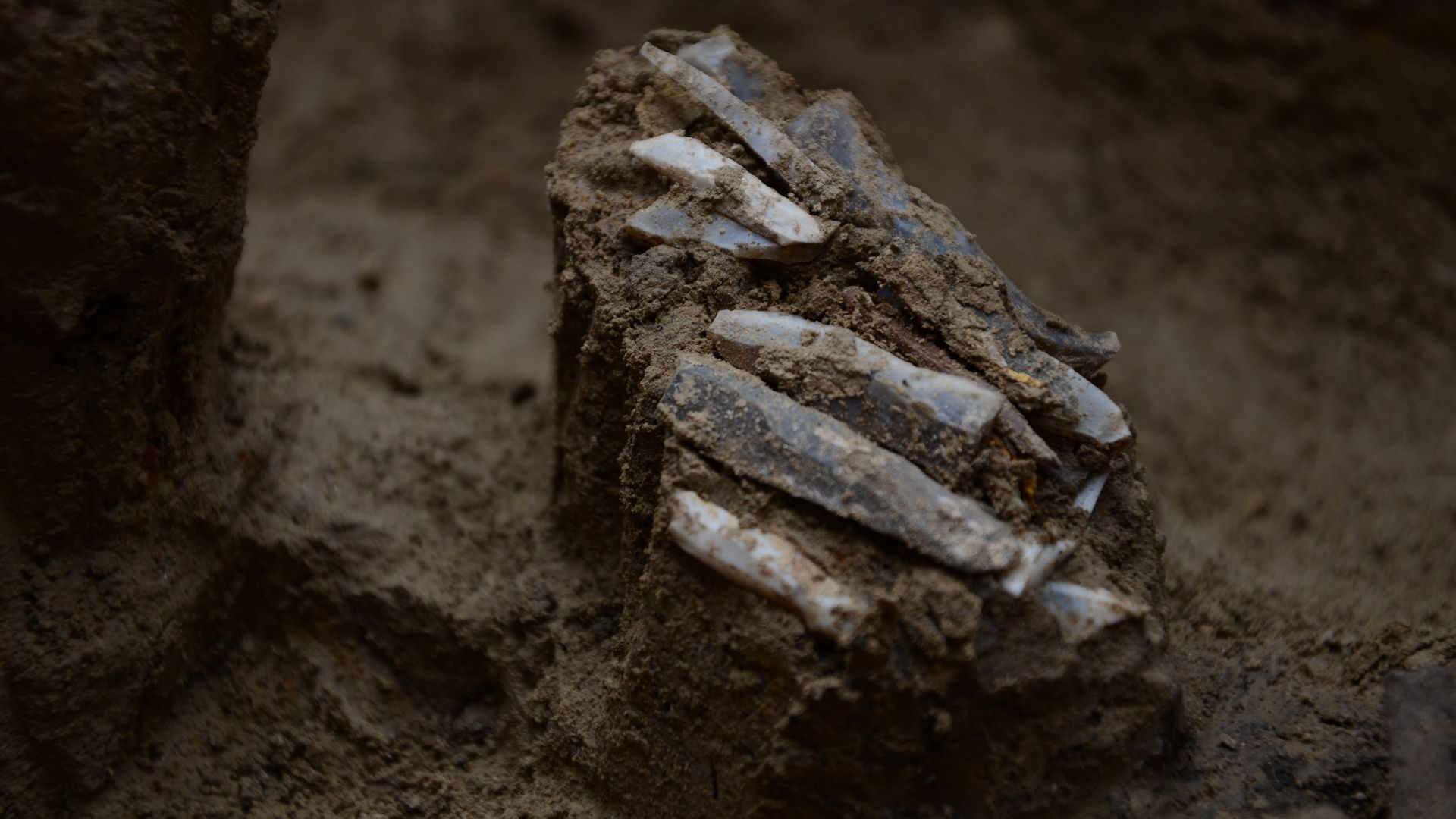 👜 Exceptional discovery: a prehistoric hunter's toolkit dating back ...