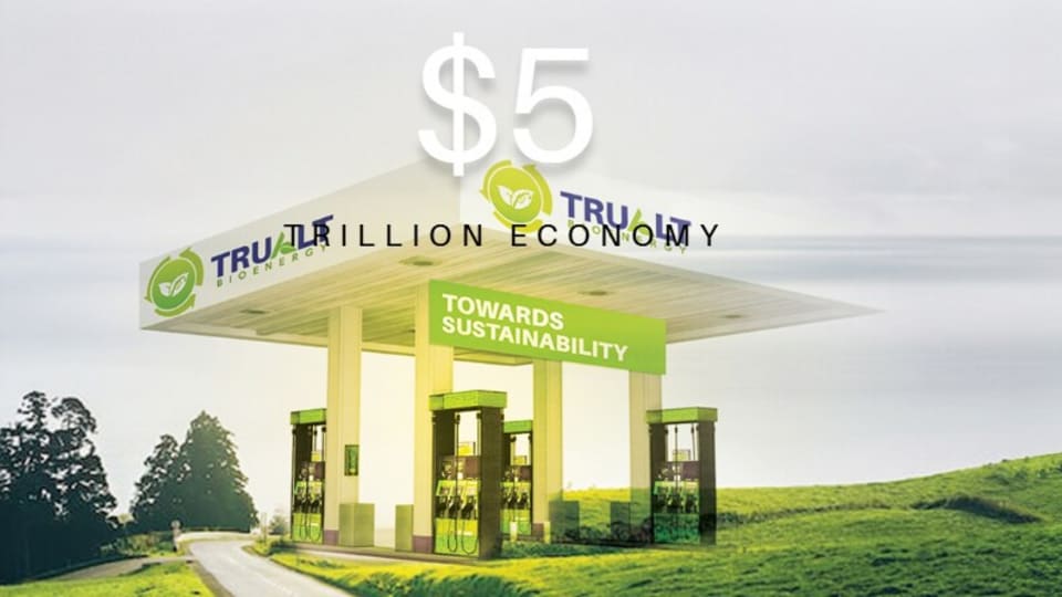 Trualt Bioenergy share price makes a positive debut, opens with 10% ...