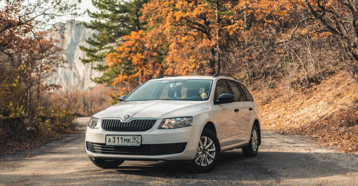 Škoda-sjef sier det rett ut: Vi vil produsere bensinbiler så lenge vi kan