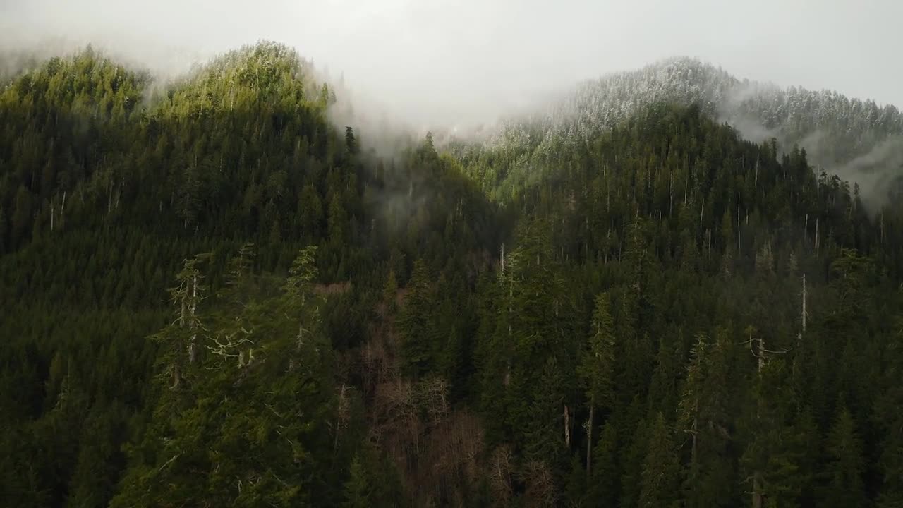 Drone Tour Of The Wild Landscapes Of Olympic National Park...