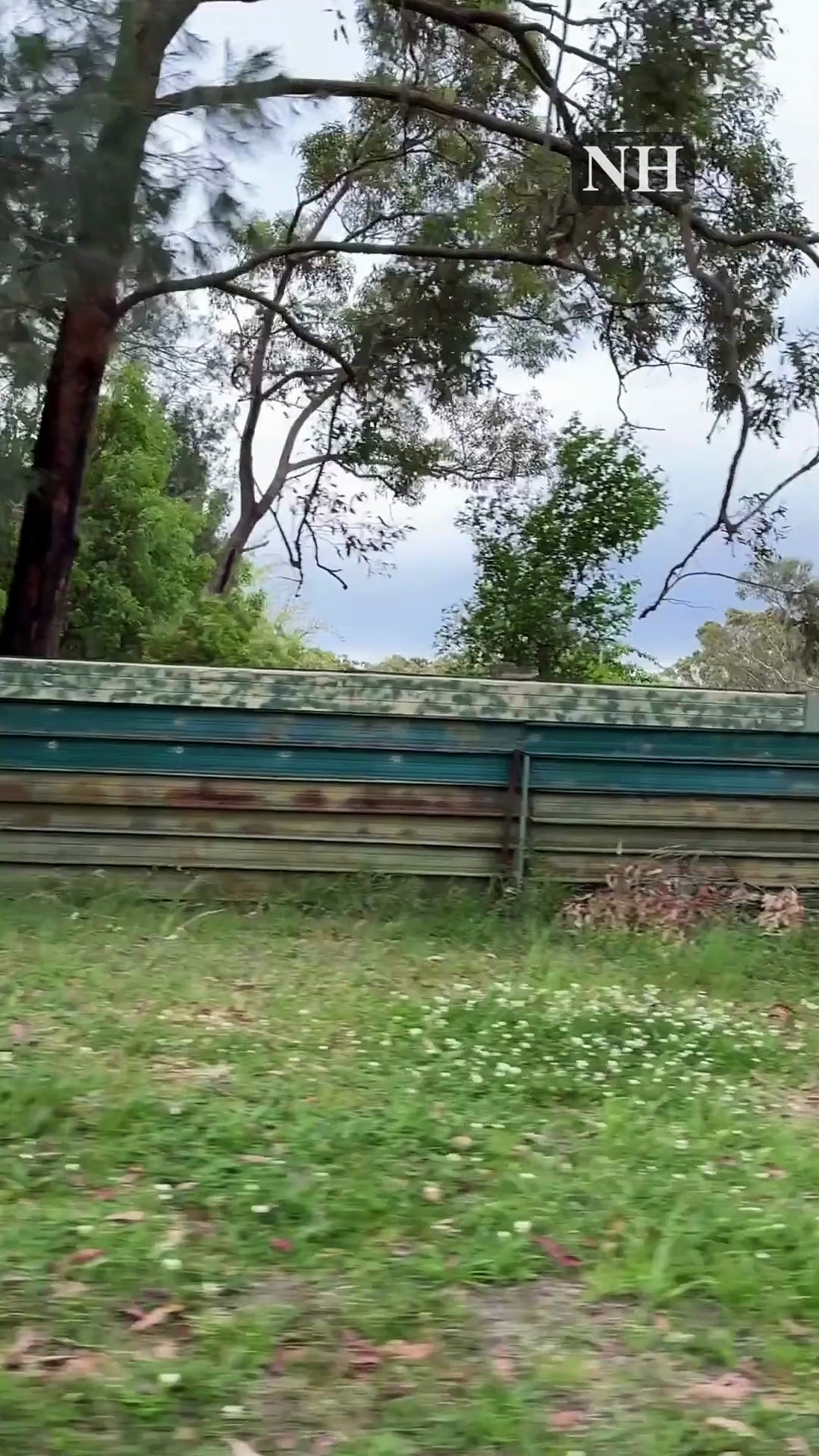 Wyee paper subdivision issues