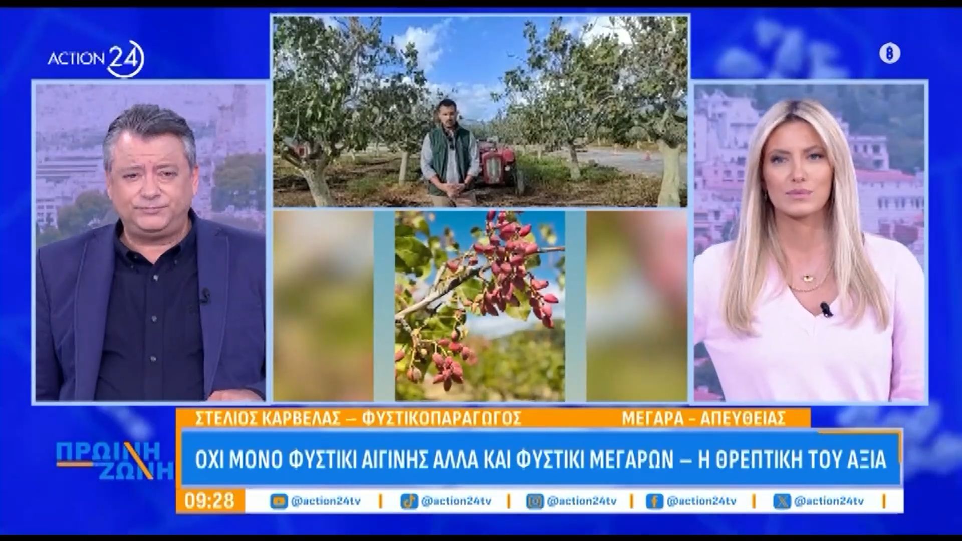 Φυστίκι... Μεγάρων: Η θρεπτική του αξία!