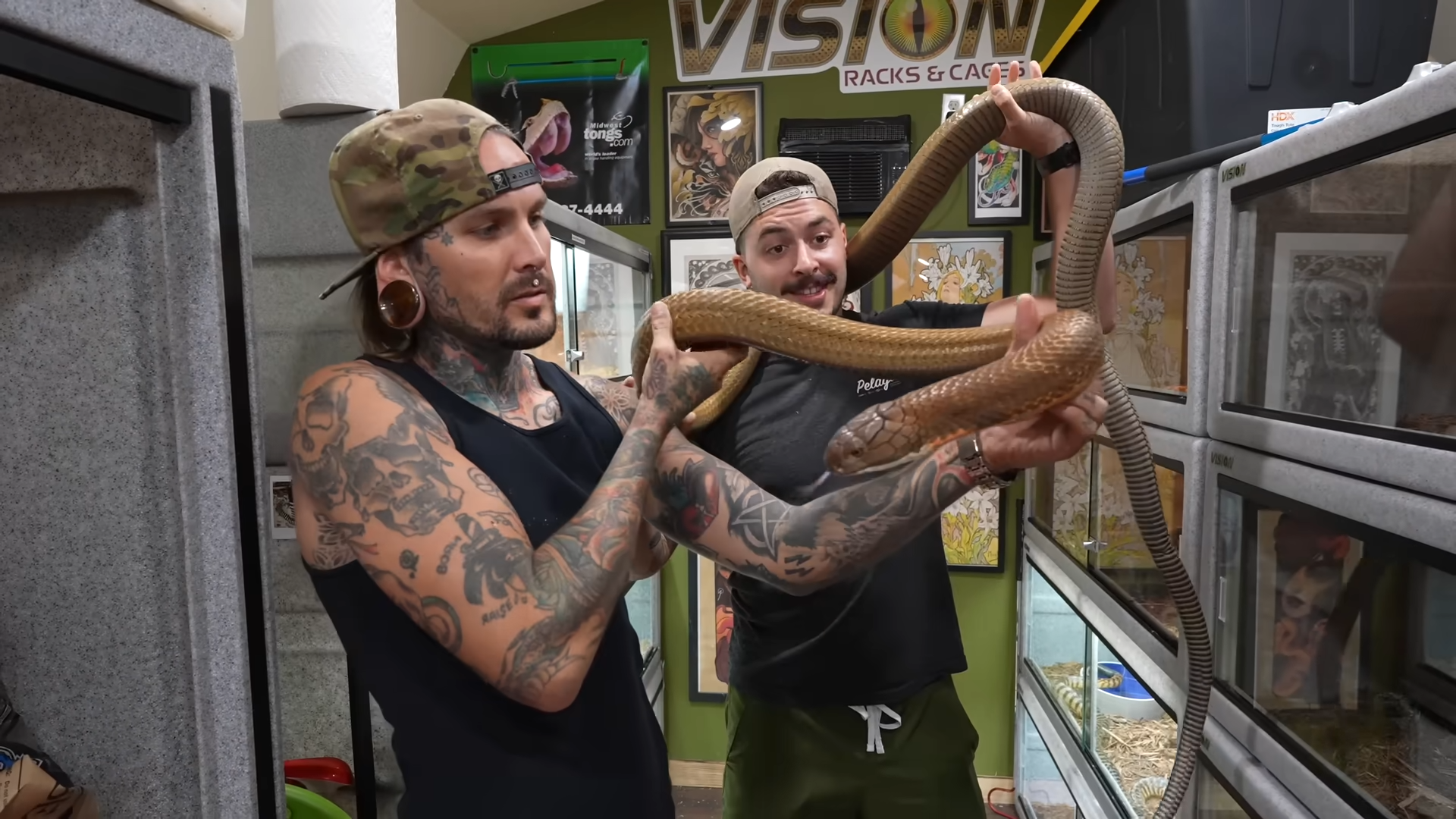 Wild Moments In The Venomous Snake Room