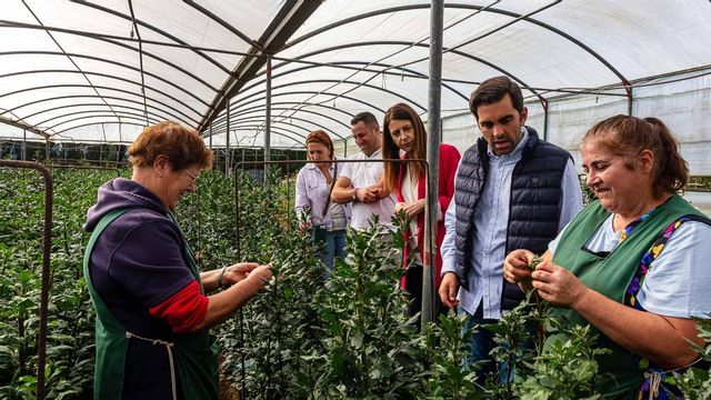 La Xunta eleva a Galicia a potencia en flor cortada y planta ornamental ...