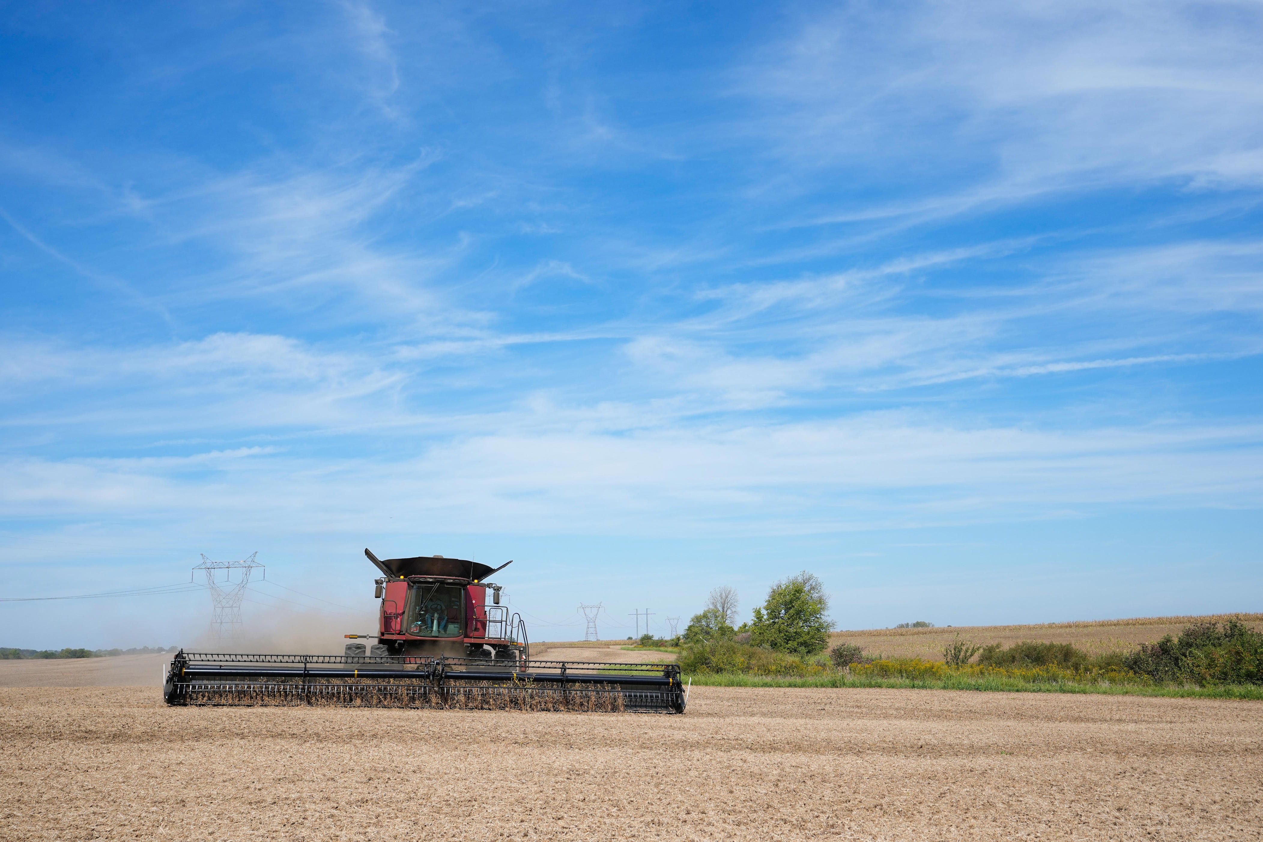 Is killing Ohio soybean farms part of Donald Trump' rotten plan. Is the ...