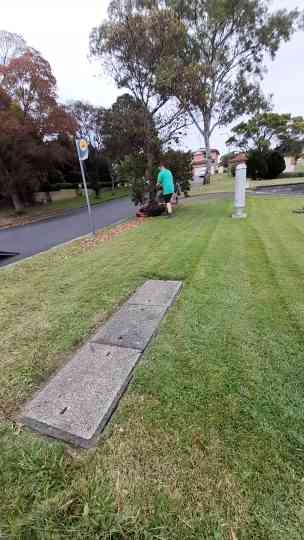 Lawn mowing satisfaction!