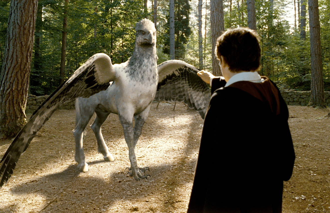 23 Harry Potter Beasts With Real-Life Origins