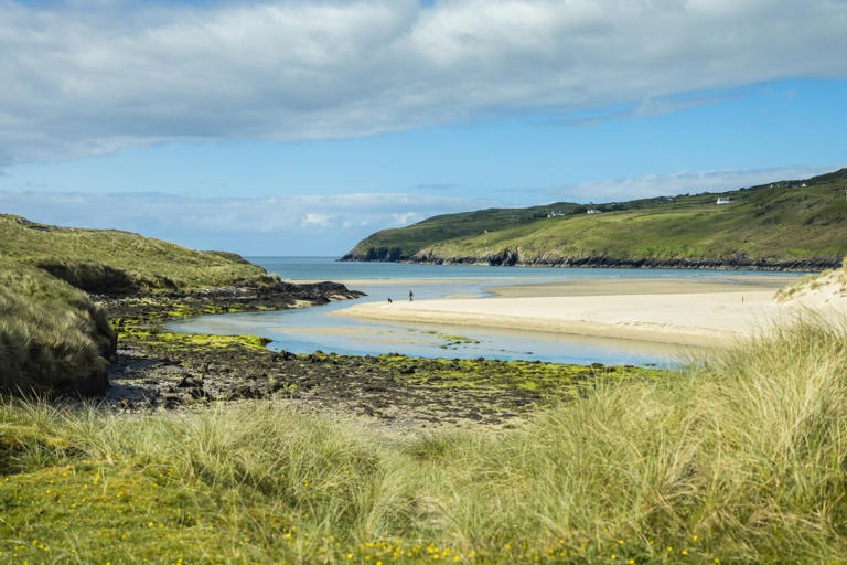 Insects spotted in England for first time—here's why