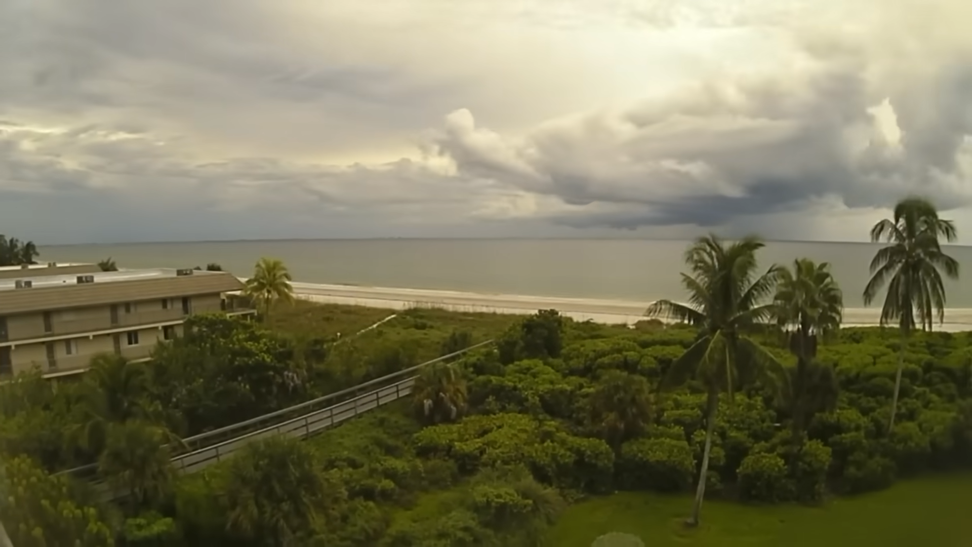 Do hurricanes cause more shark attacks?