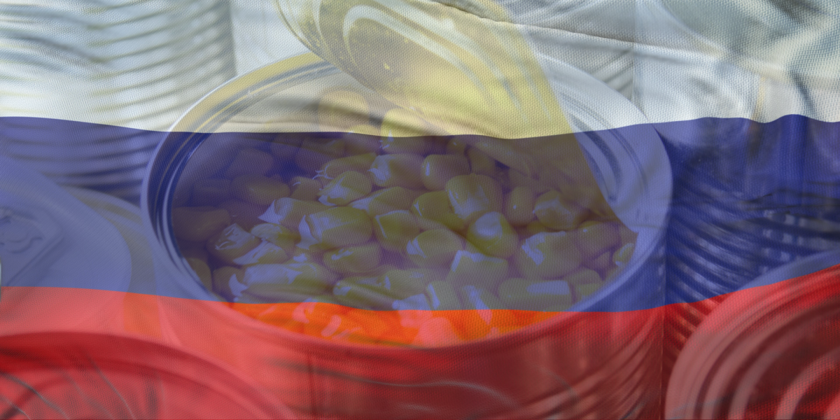 Russian plan foiled: Three European countries intended targets for ...