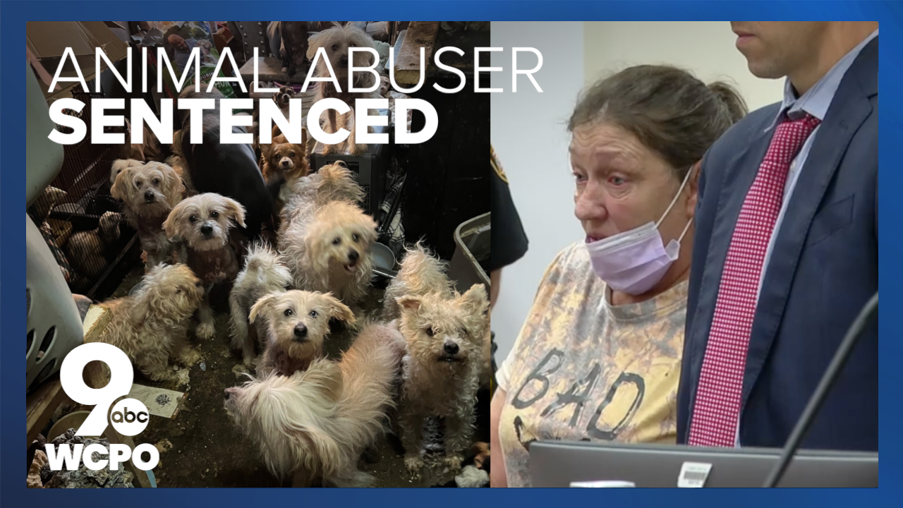 Ohio woman given jail time after animals found in terrible conditions