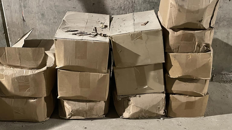 Declutter And Organize Your Garage By Tossing These 10 Things In Fall