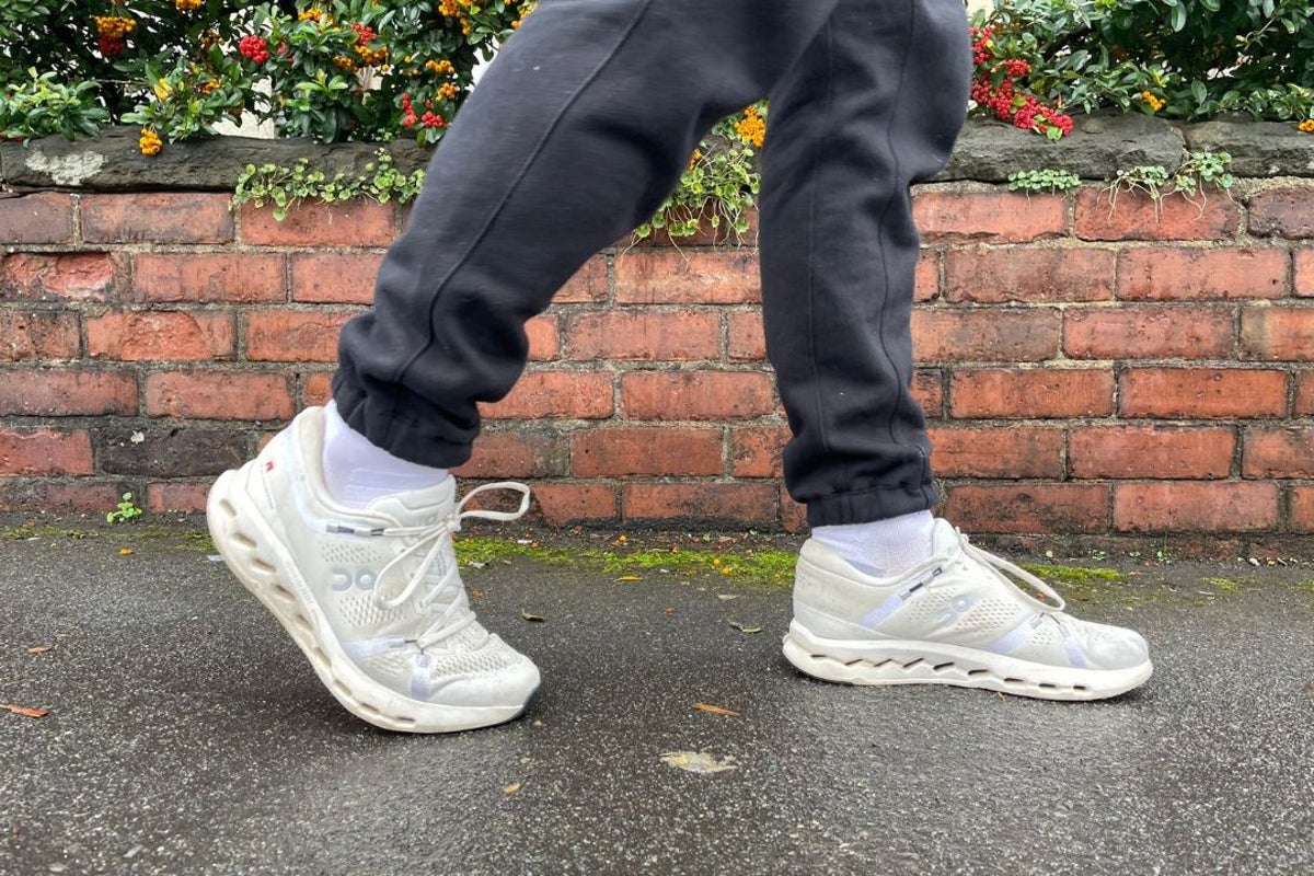 I’m a fitness writer – if I could only own one ON running shoe, it ...