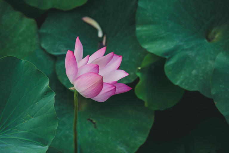 Psychiatrists Break Down 10 Rare Phobias That Make More Sense Than You ...