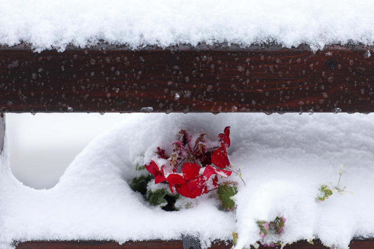 Surprise snowfall hits Europe as power lines damaged and thousands left ...