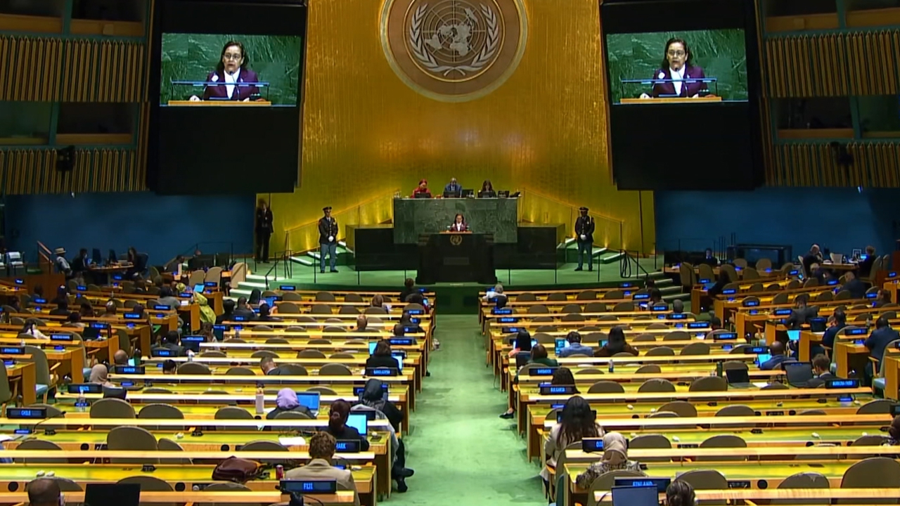 Swedish, Latin American Lawmakers Reject China's UN Resolution 2758 Claims