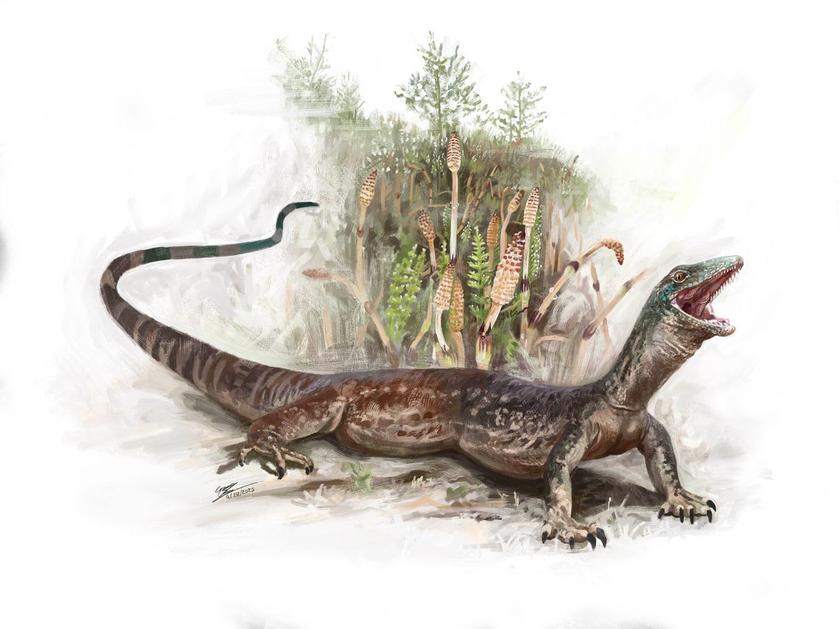This Bizarre Jurassic Reptile Is A Weird Mix Of Snake And Lizard