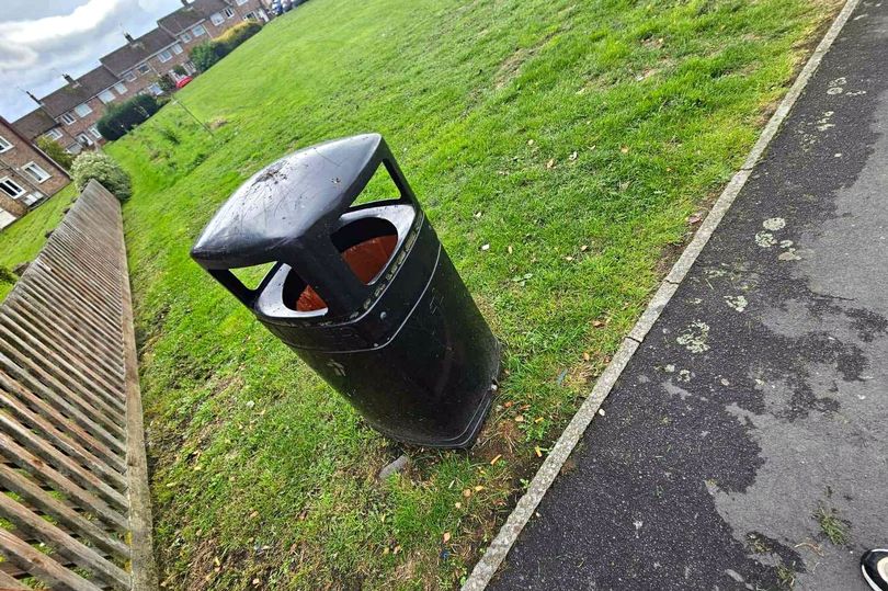 Council bin police drop envelope charge then give mum amazing tip for ...